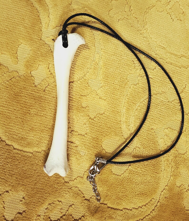 Authentic Animal Bone, Femer Pendant, Ethically Sourced, Tribe Boho ...