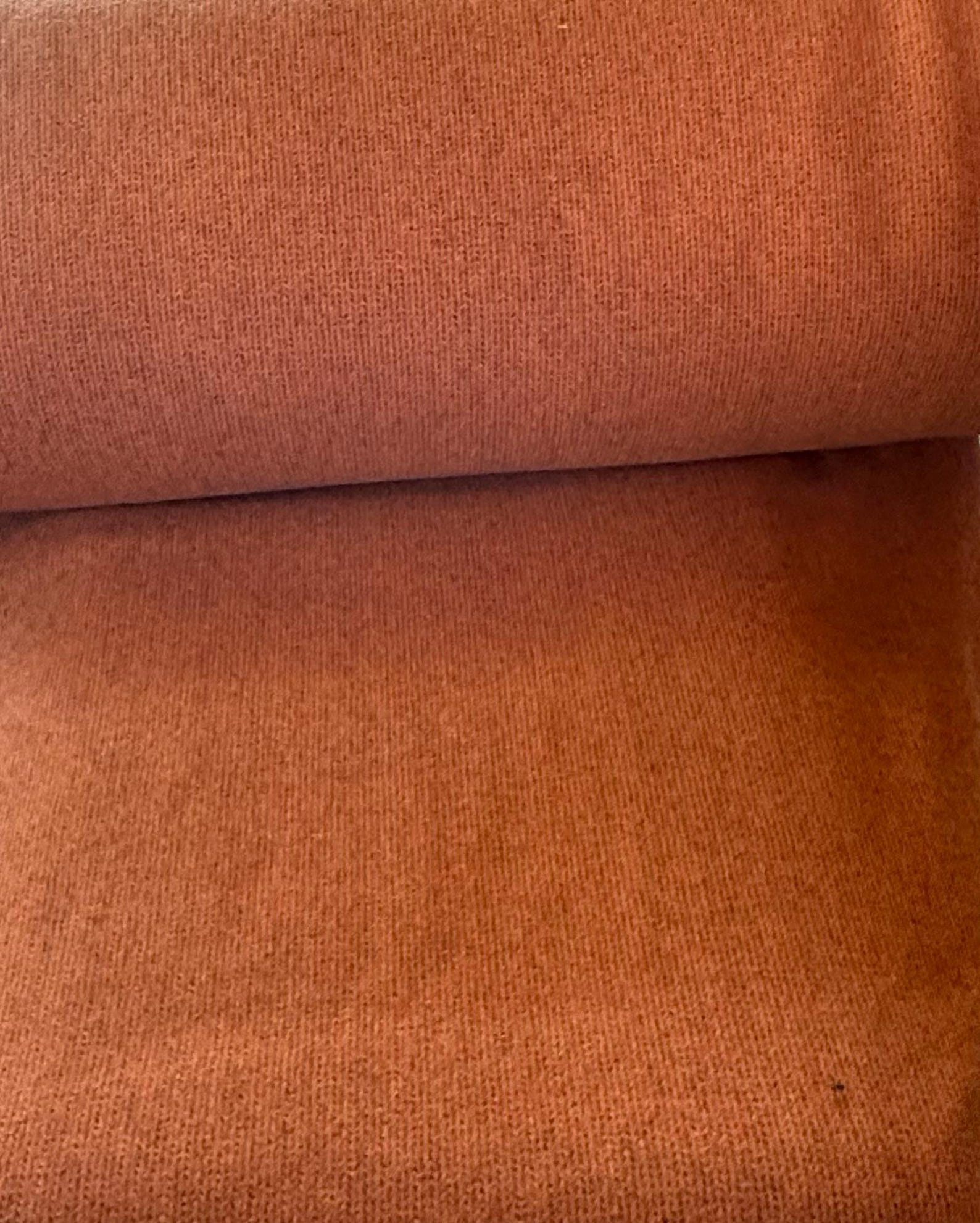 Pumpkin Seeds 100% Wool Fat Quarter - Etsy