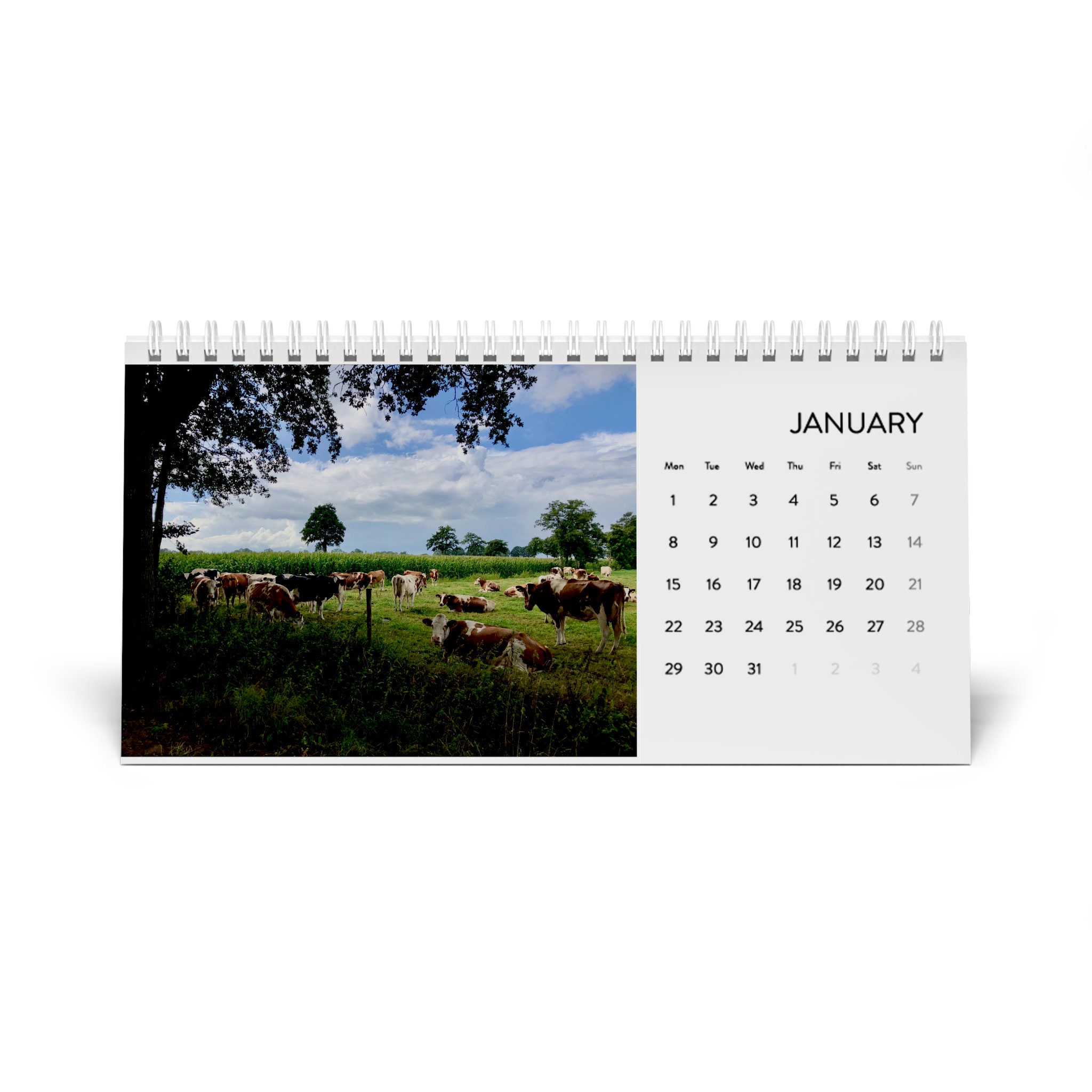 Cow Desk Calendar 2024 Grid 2024 Cows Calendar Cute Cow - Etsy Canada