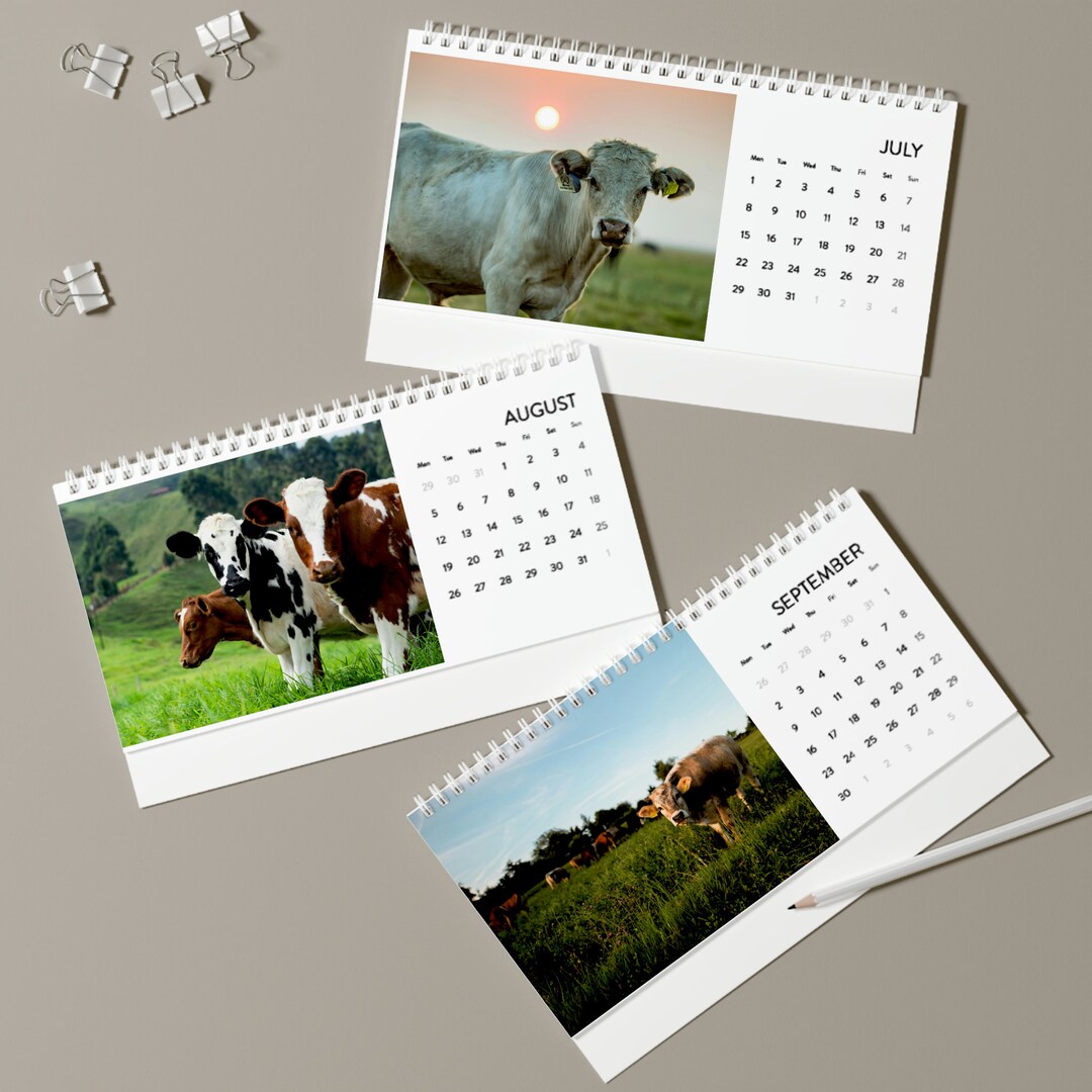 Cow Desk Calendar 2024 Grid 2024 Cows Calendar Cute Cow - Etsy Canada