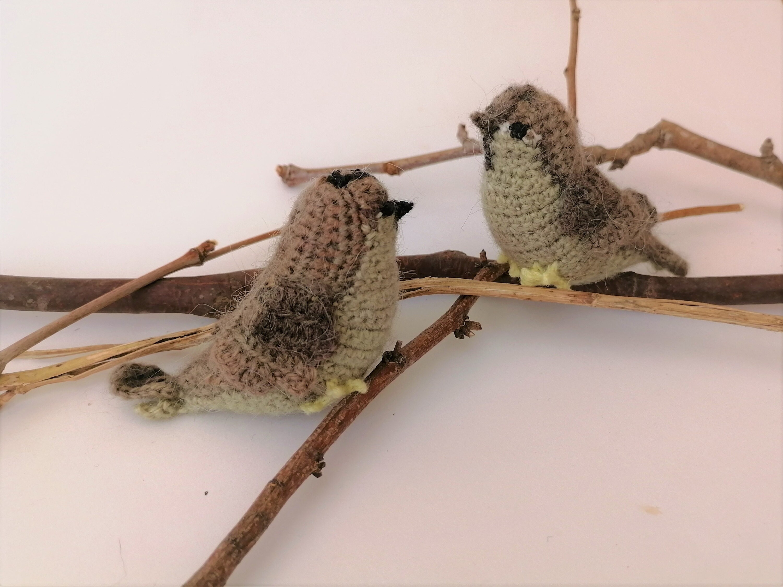 Realistic Sparrow Real Birds Crochet Pdf Pattern - Etsy