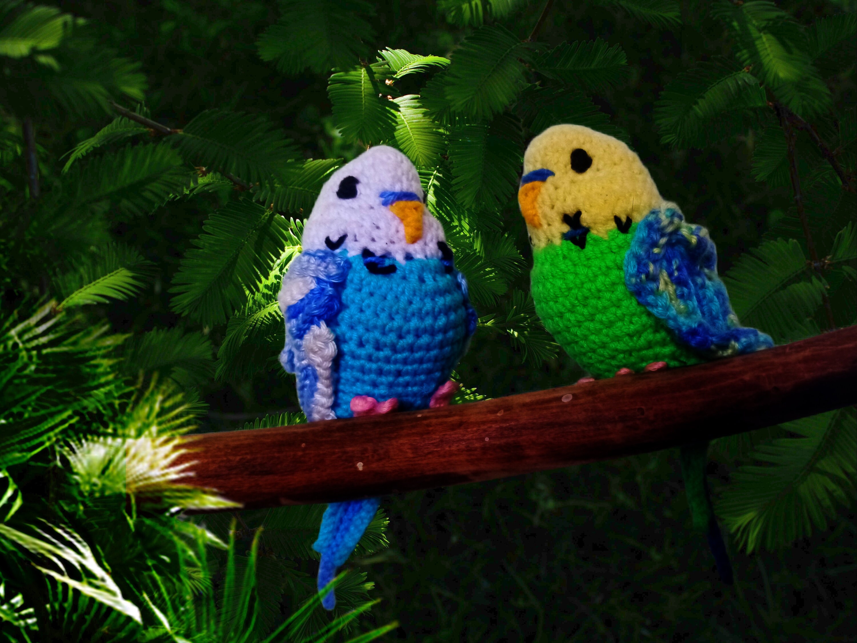 Budgie Parakeet Parrot Crochet Birds Pdf Pattern - Etsy