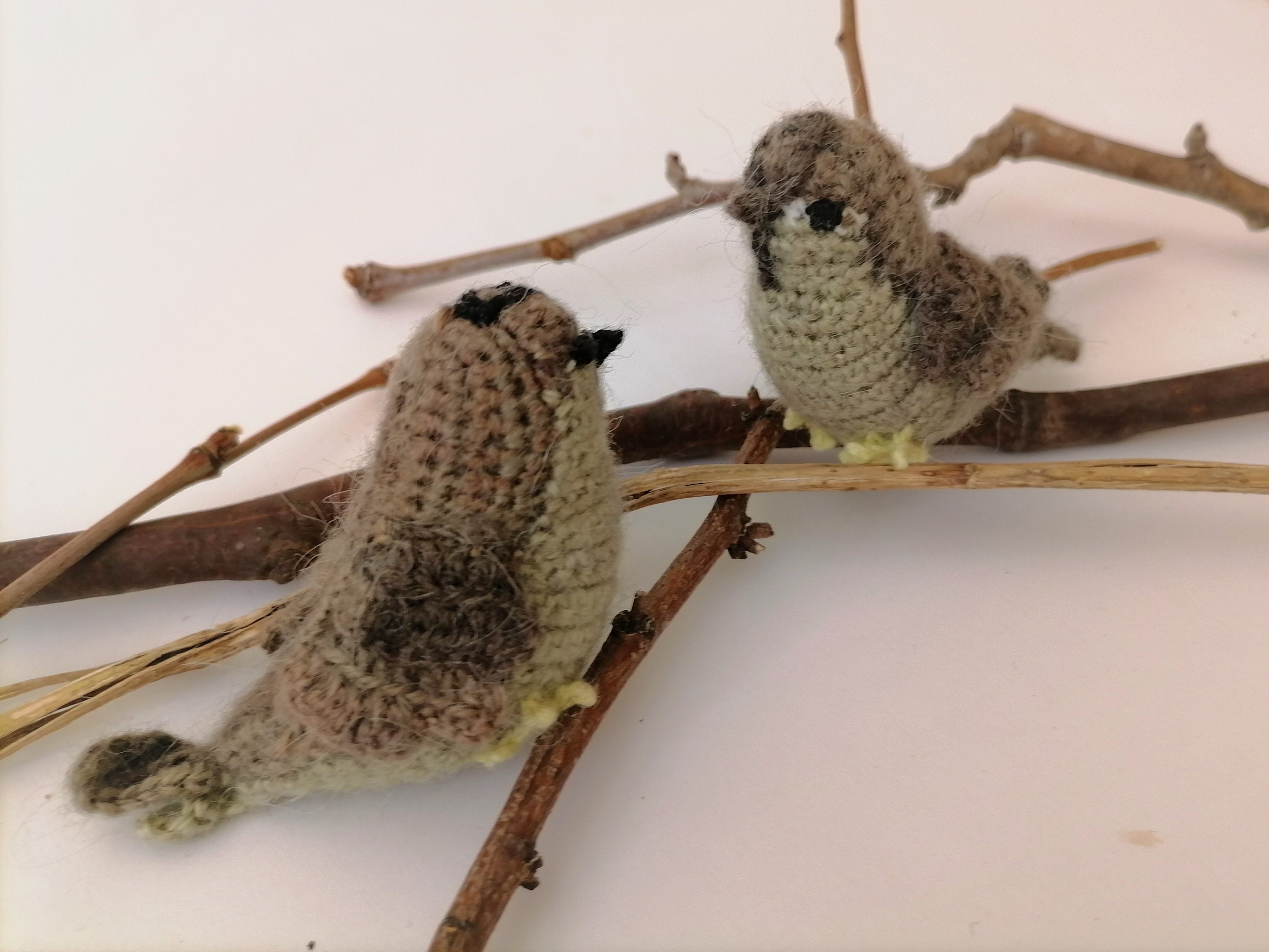 Realistic Sparrow Real Birds Crochet Pdf Pattern - Etsy