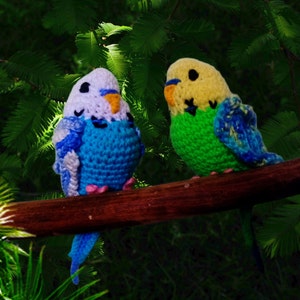 Budgie * Parakeet * Parrot * Crochet Birds * Pdf Pattern * Amigurumi ...