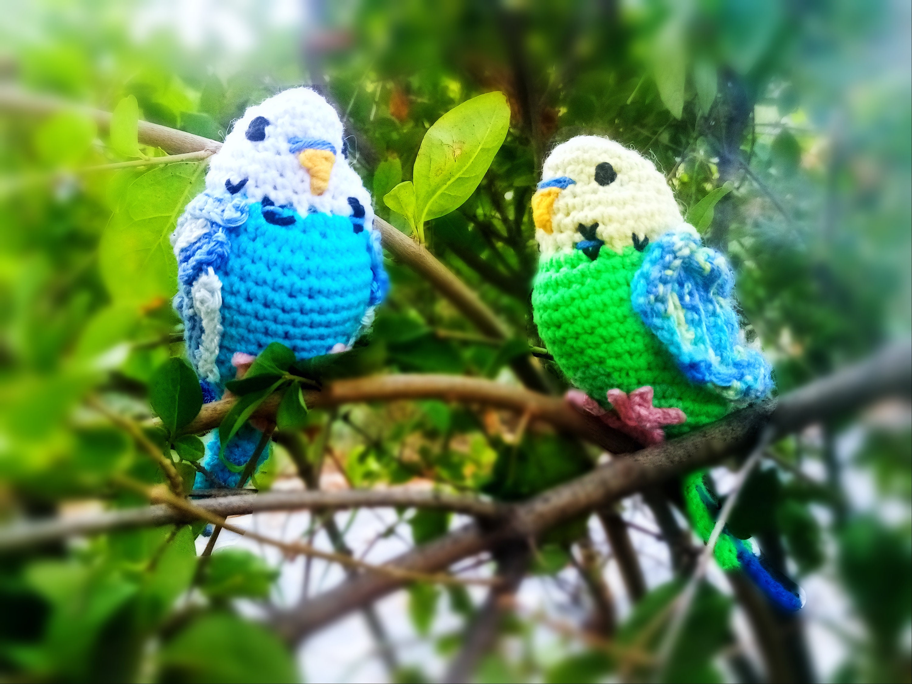 Budgie Parakeet Parrot Crochet Birds Pdf Pattern - Etsy