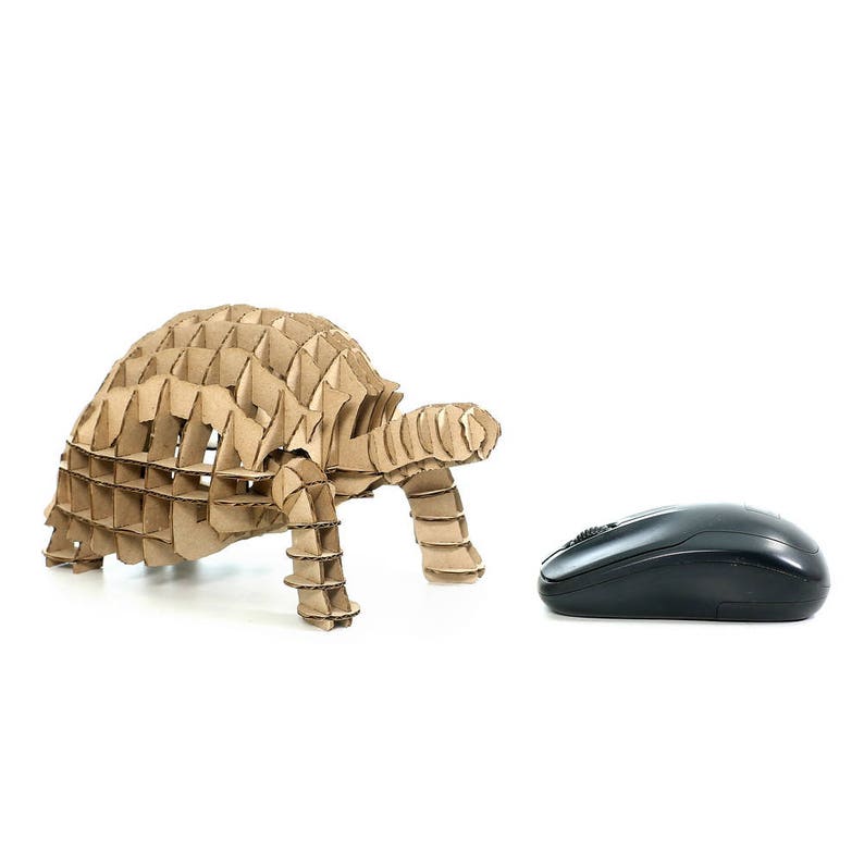 Turtle 3D Cardboard Puzzle - Etsy