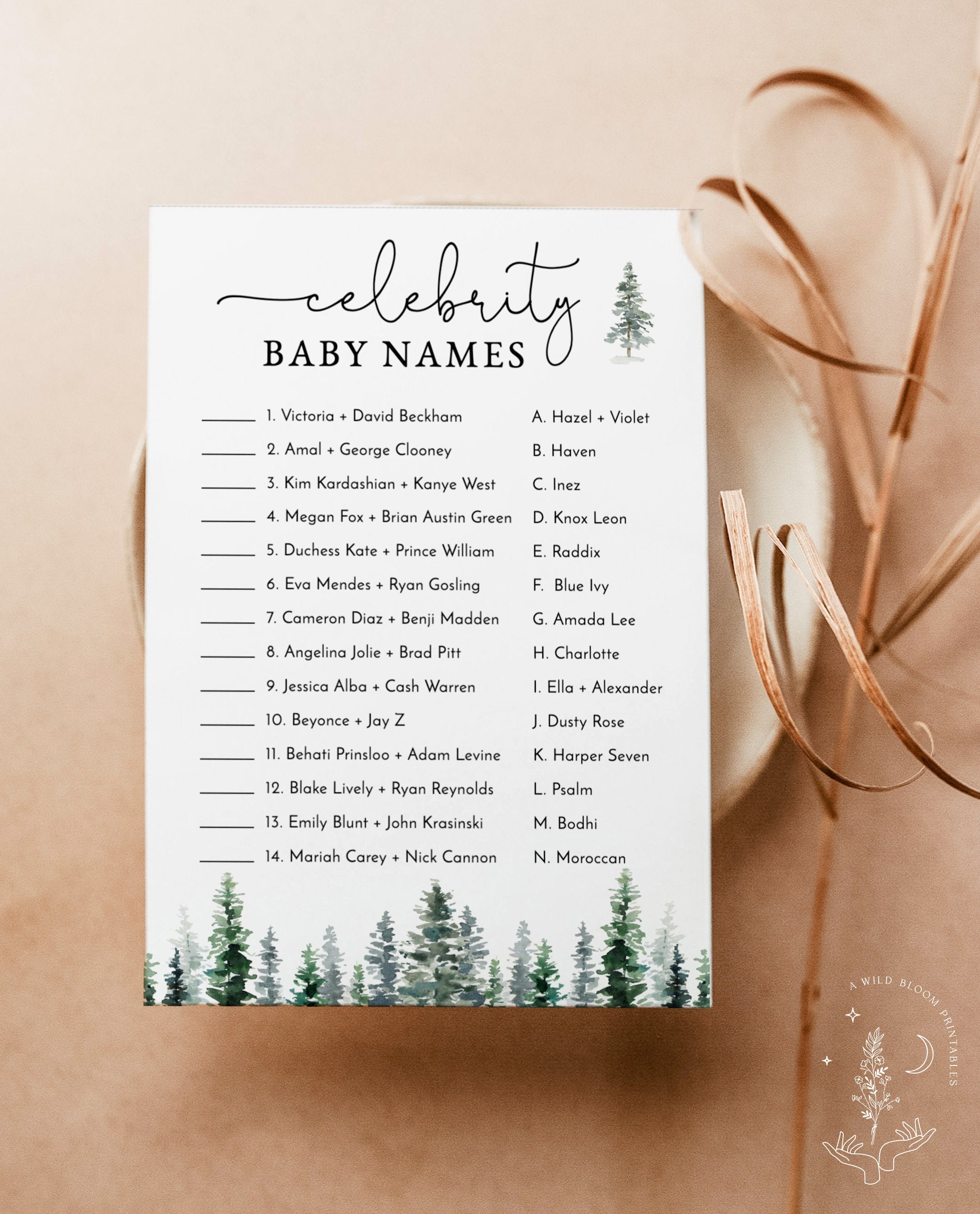 Celebrity Baby Names Game Winter Baby Shower Game Rustic - Etsy
