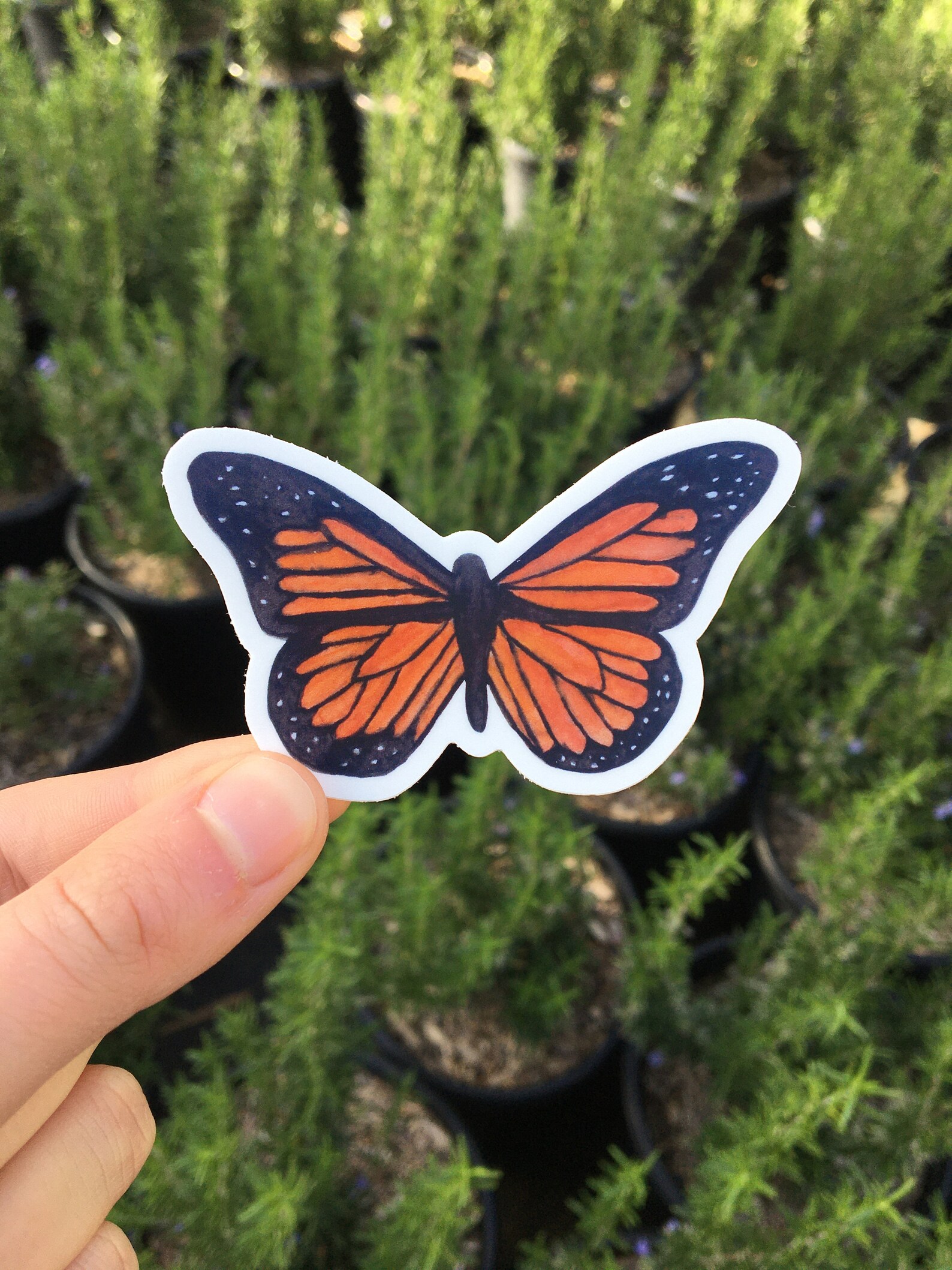 Monarch Butterfly Vinyl Sticker | Etsy