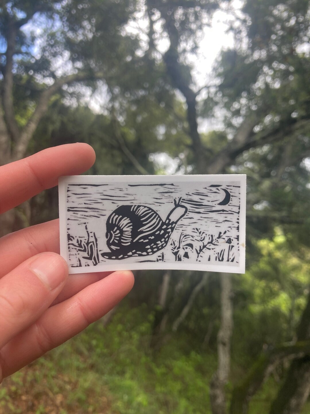 Snail Linocut Vinyl Sticker - Etsy