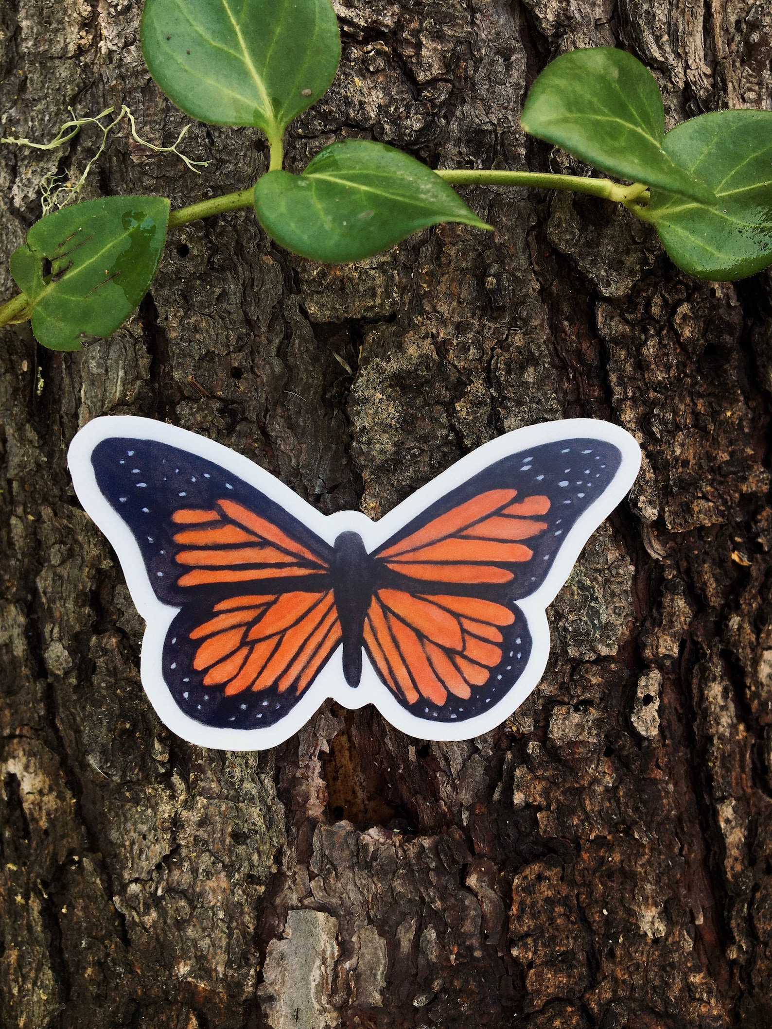 Monarch Butterfly Vinyl Sticker | Etsy