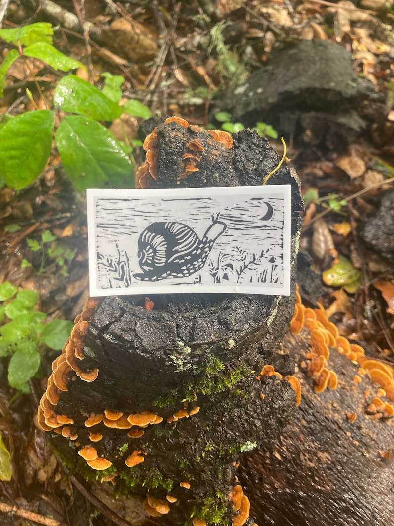 Snail Linocut Vinyl Sticker - Etsy