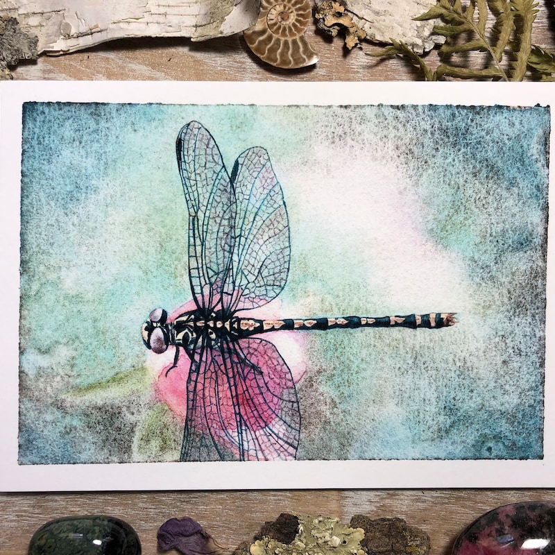 Dragonfly Art Print - Etsy
