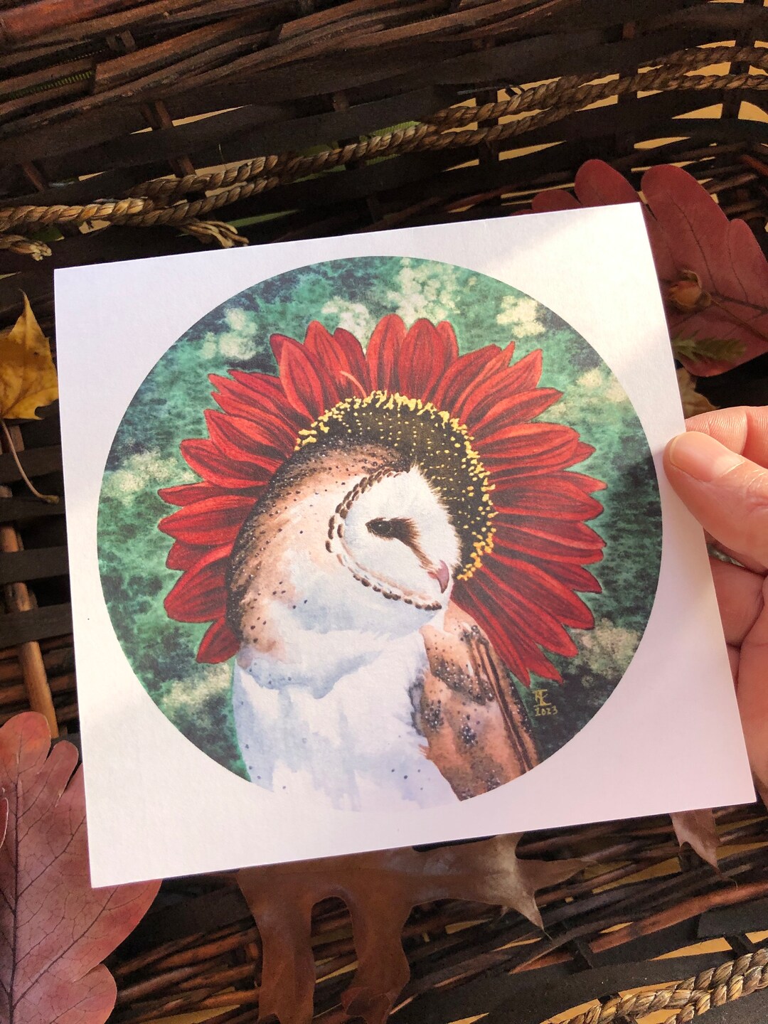 Barn Owl Holiday Cards Set of 6 Owl Christmas Cards - Etsy