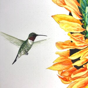 Hummingbird and Sunflower Fine Art Print: Garden Wall Art - Etsy