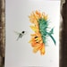 Hummingbird and Sunflower Fine Art Print: Garden Wall Art - Etsy