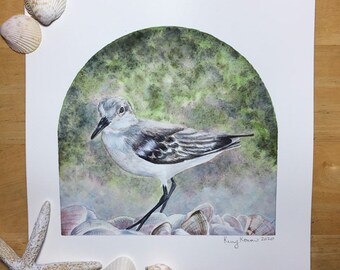 Shorebird Painting - Etsy