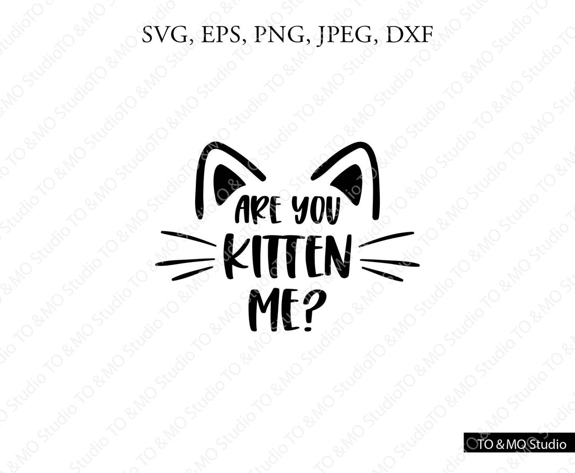 Cat SVG Kitten SVG Are You Kitten Me Svg Cat Mom Svg Cat | Etsy