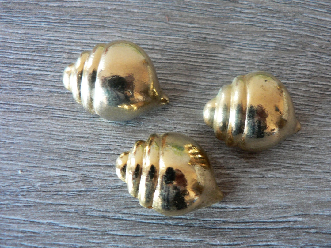 Three Vintage Brass Conch Shell Buttons With Shank Bottoms - Etsy