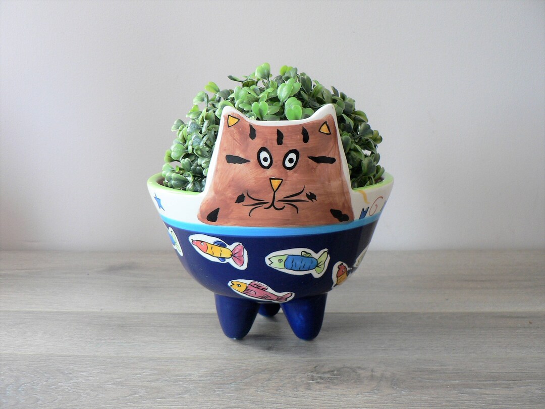 Funny Cat Ceramic Bowl - Hand-painted Footed Bowl / Planter for the Cat ...