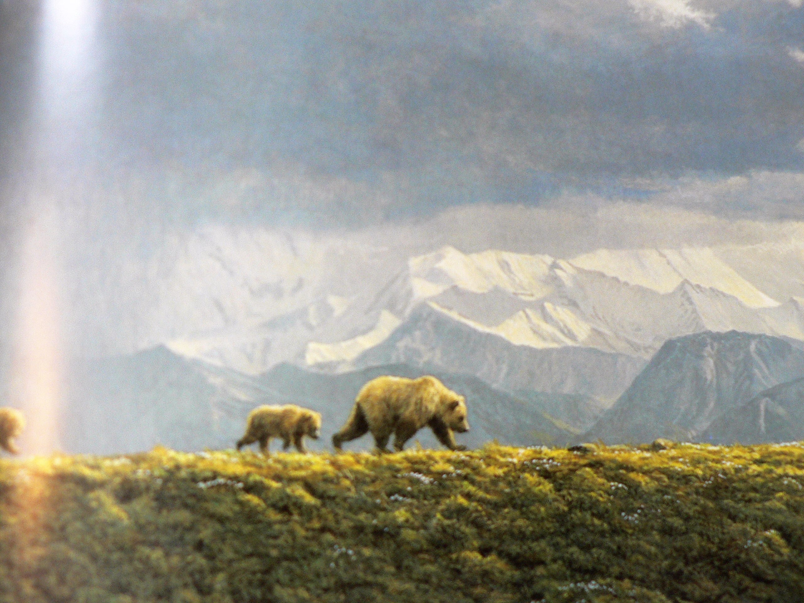 Vintage the World of Robert Bateman Hardcover Book 1985 - Etsy Canada