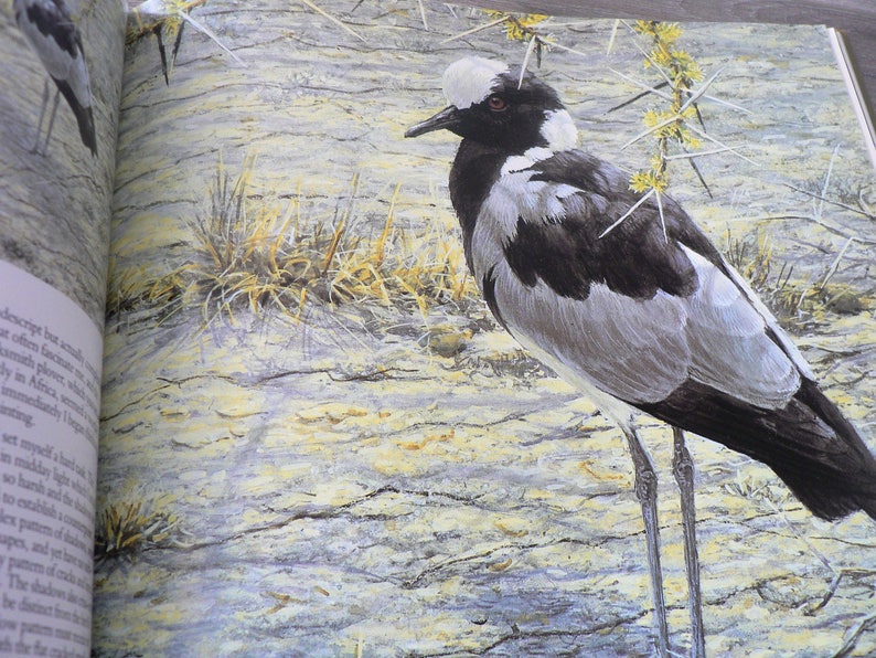 Vintage the World of Robert Bateman Hardcover Book - 1985 Edition ...