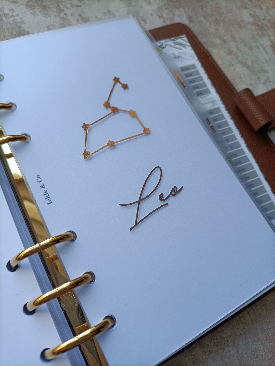 Zodiac Plastic Dashboard Foiled Inbox Custom Filofax Star Sign Divider ...