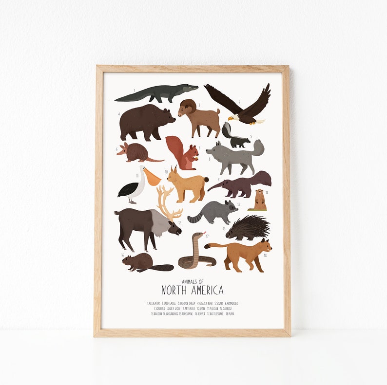 Animals print Animals north america nursery wall decor | Etsy