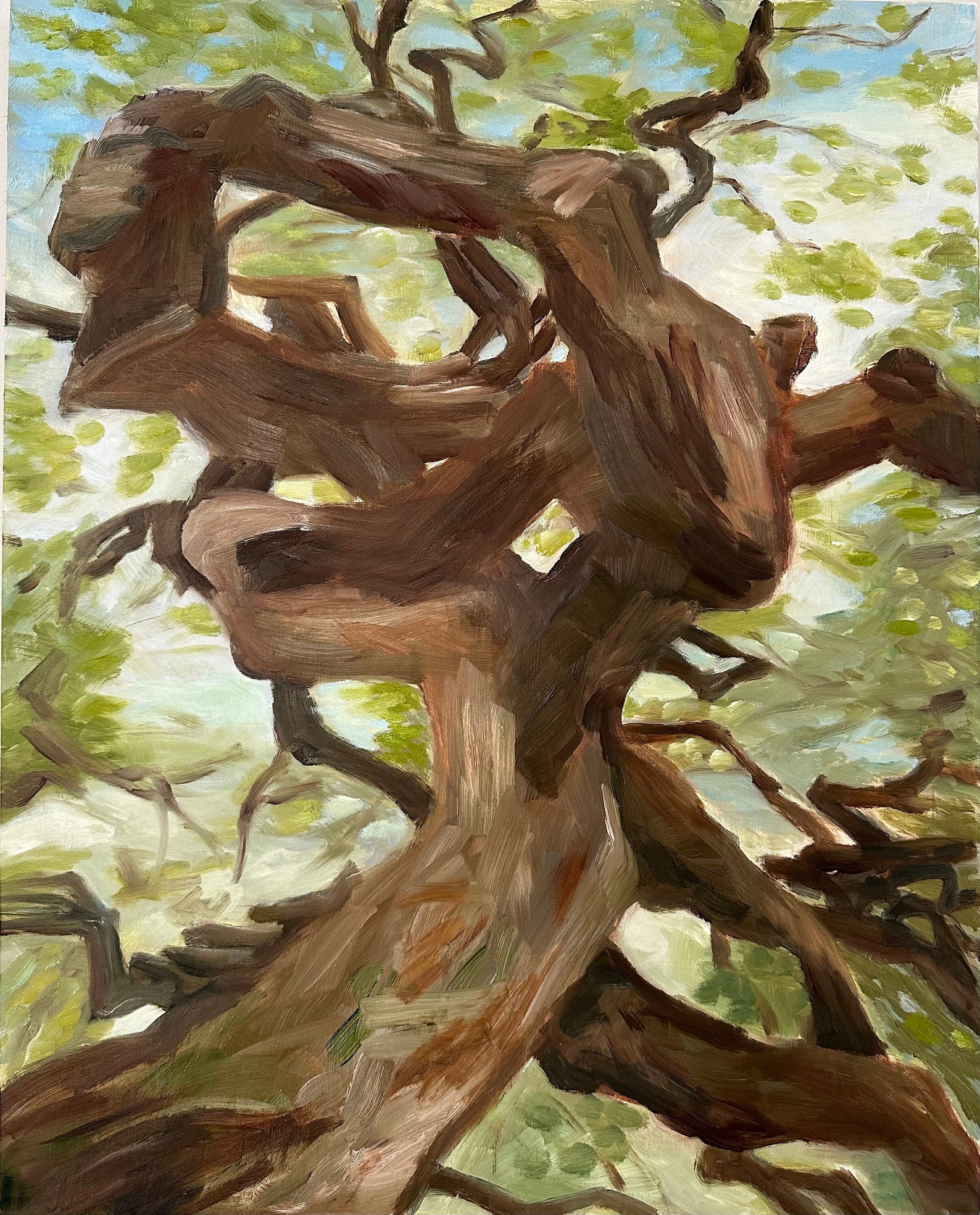 Original Camperdown Elm Tree Oil Painting: Expressive Twisted Branches ...