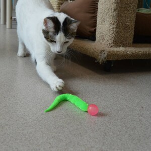 Glow-in-the-dark Wiggly Ball Cat Toy – Handmade Bouncy Ball - Etsy