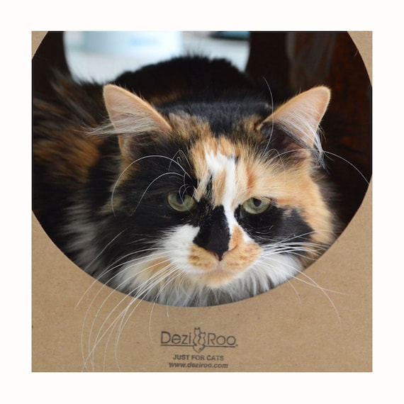 Cat Tunnels For Walls Paper Toy Cat / Dezi Roo Hide And Sneak ...