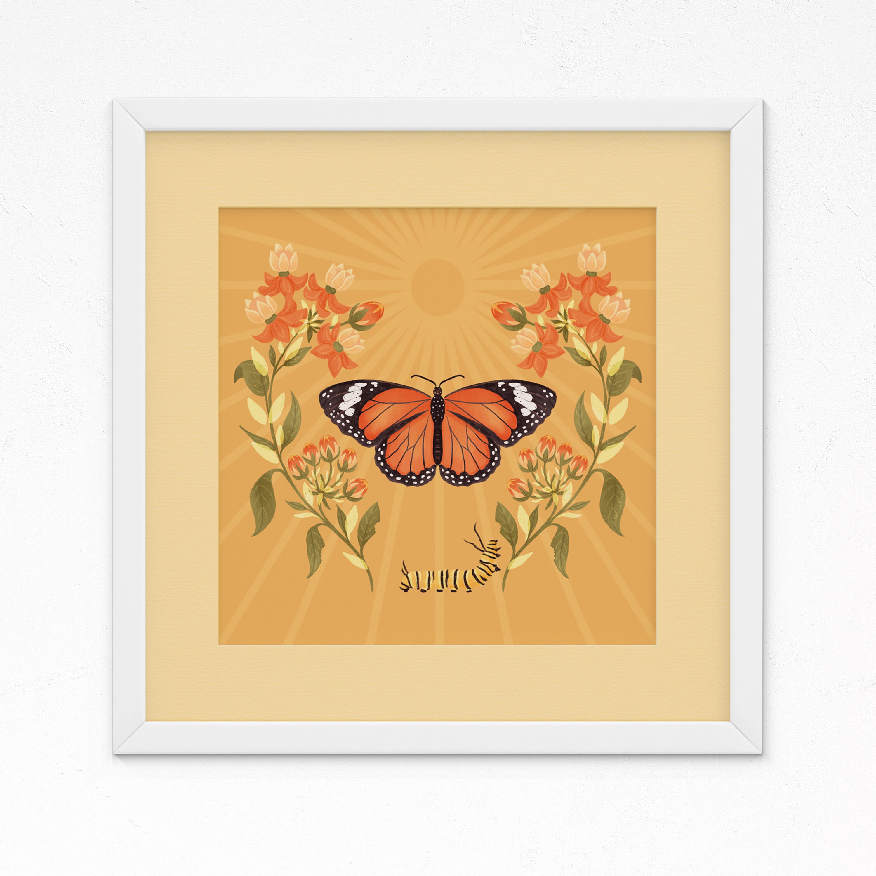 Monarch Butterfly and Milkweed Illustration -digital Download, Art ...