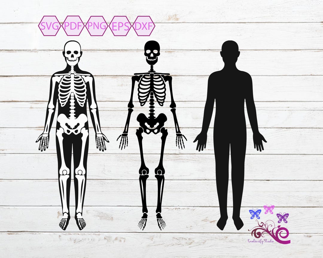 Skeleton Silhouette Clipart SVG, Skeleton Bundle, Skeleton Bones, Human ...