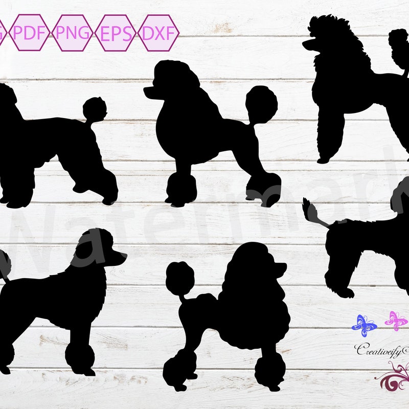 Poodle Svg - Etsy