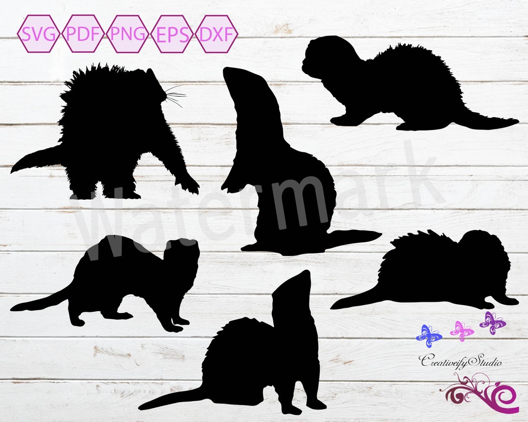 Ferret SVG, Ferret Silhouette, Ferret Clipart, Ferret Vector Cut File ...