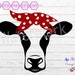 Cow Heifer With Polkadot Bow Hair Tie, Cow With Bandana, Livestock on ...