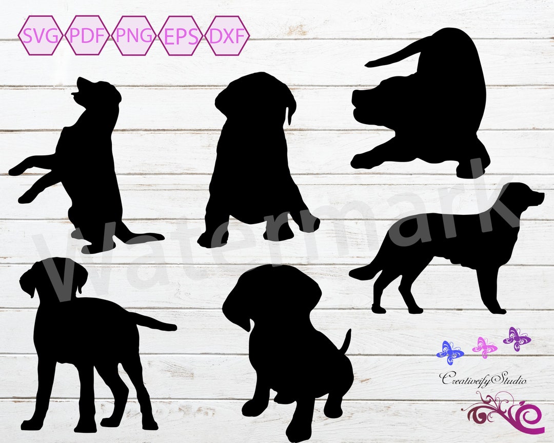 Labrador Retriever SVG Silhouette, Pet Lover, Dog Vector, Jumping Dog ...
