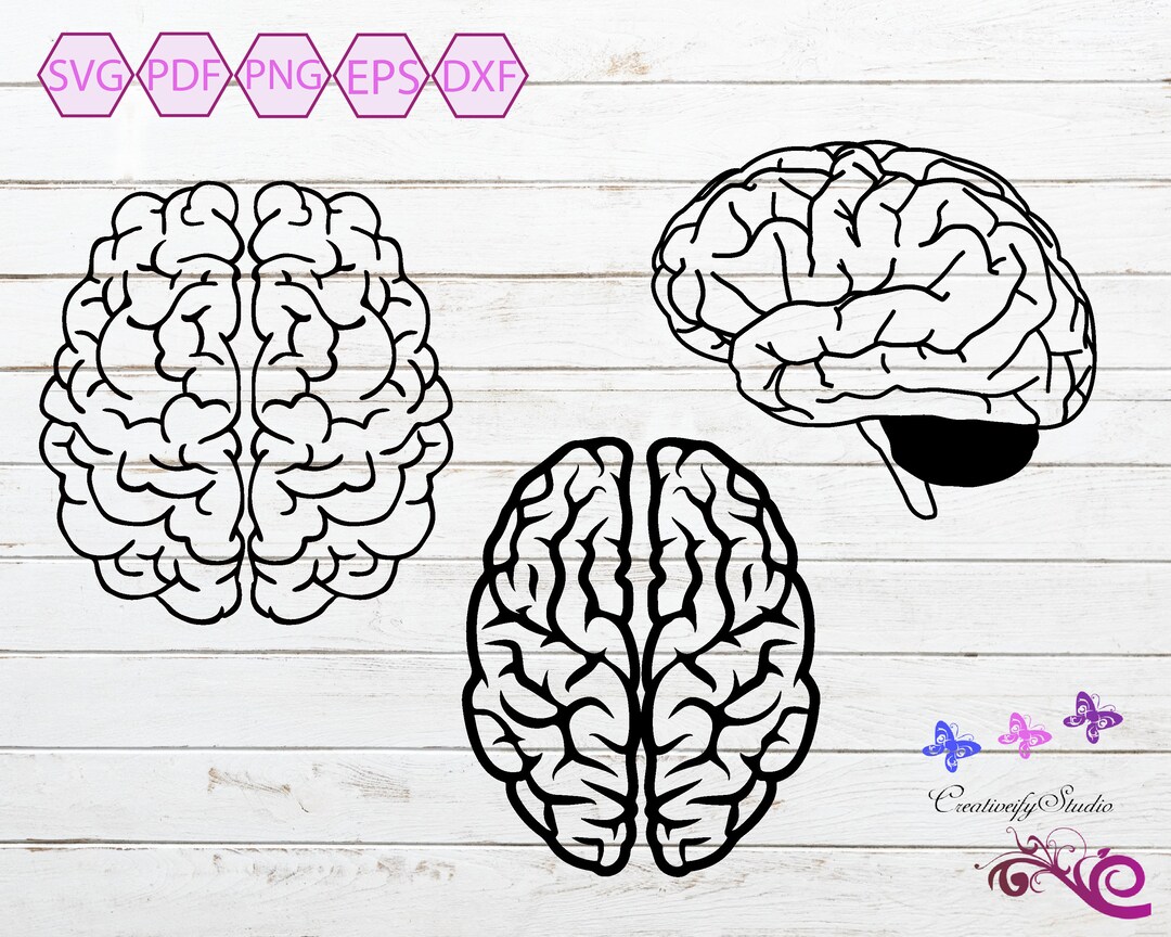Brain SVG, Brain Bundle, Brain Silhouette, Human Brain, Nervous System ...