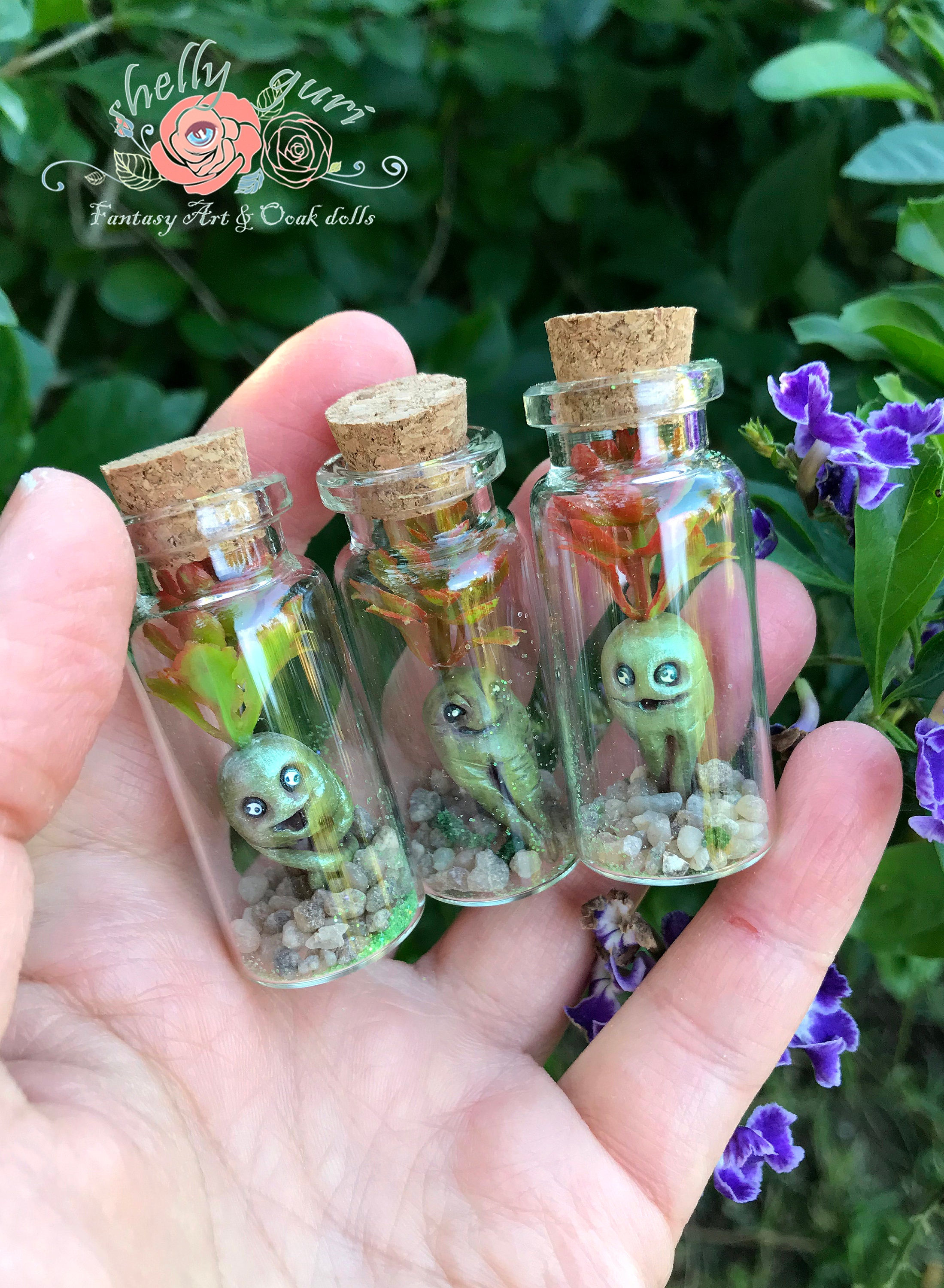 Magic Seeds/mandrake Root, the Screaming Magic Mandrake, Mandrake Baby ...