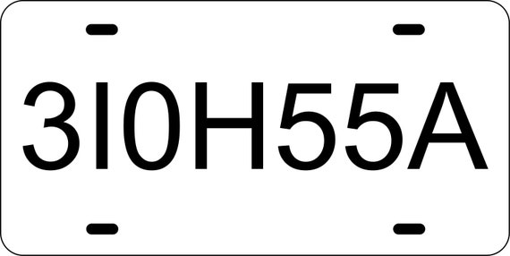 Asshole reversed License Plate - Etsy