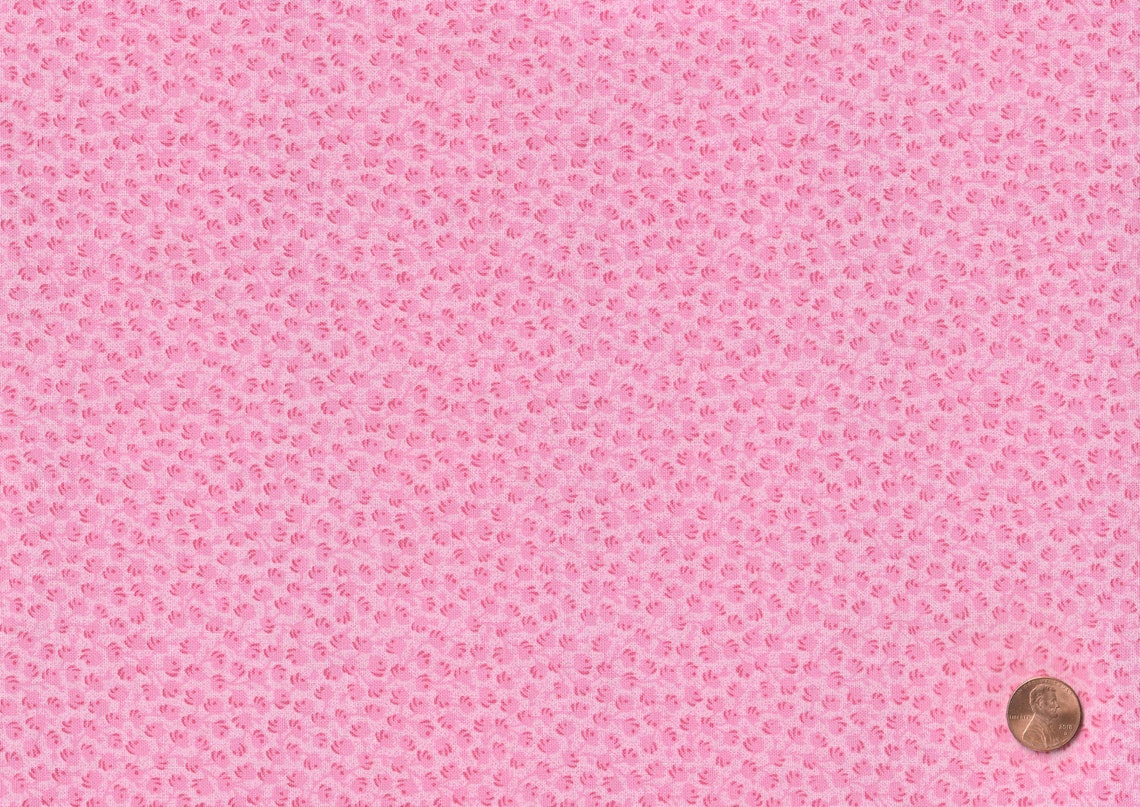 Jelly Roll 20 2 1/2 Baby Light Pink Color 5 Prints - Etsy