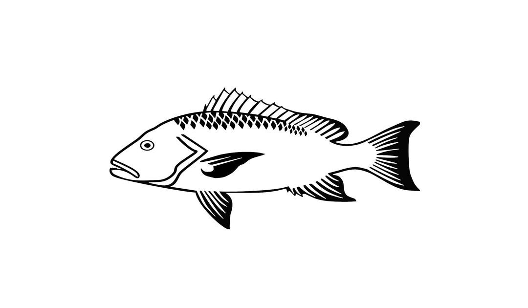 Red Snapper Vinyl Decal - Etsy
