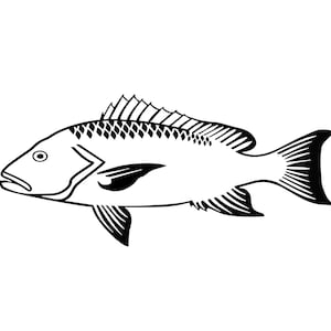 Red Snapper Vinyl Decal - Etsy