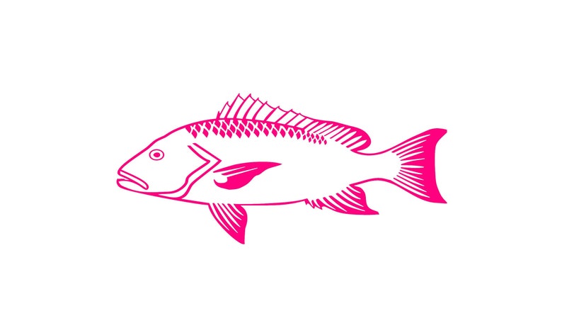 Red Snapper Vinyl Decal - Etsy