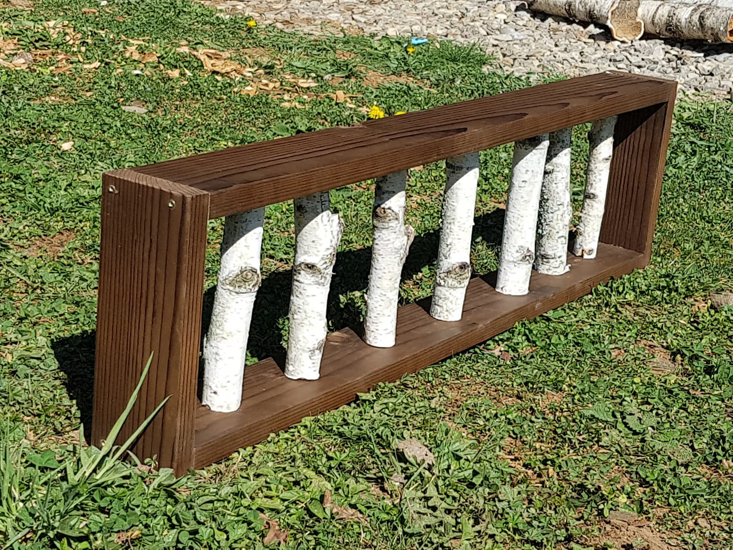 Large White Birch Wall Art Birch display shelf Framed Birch | Etsy