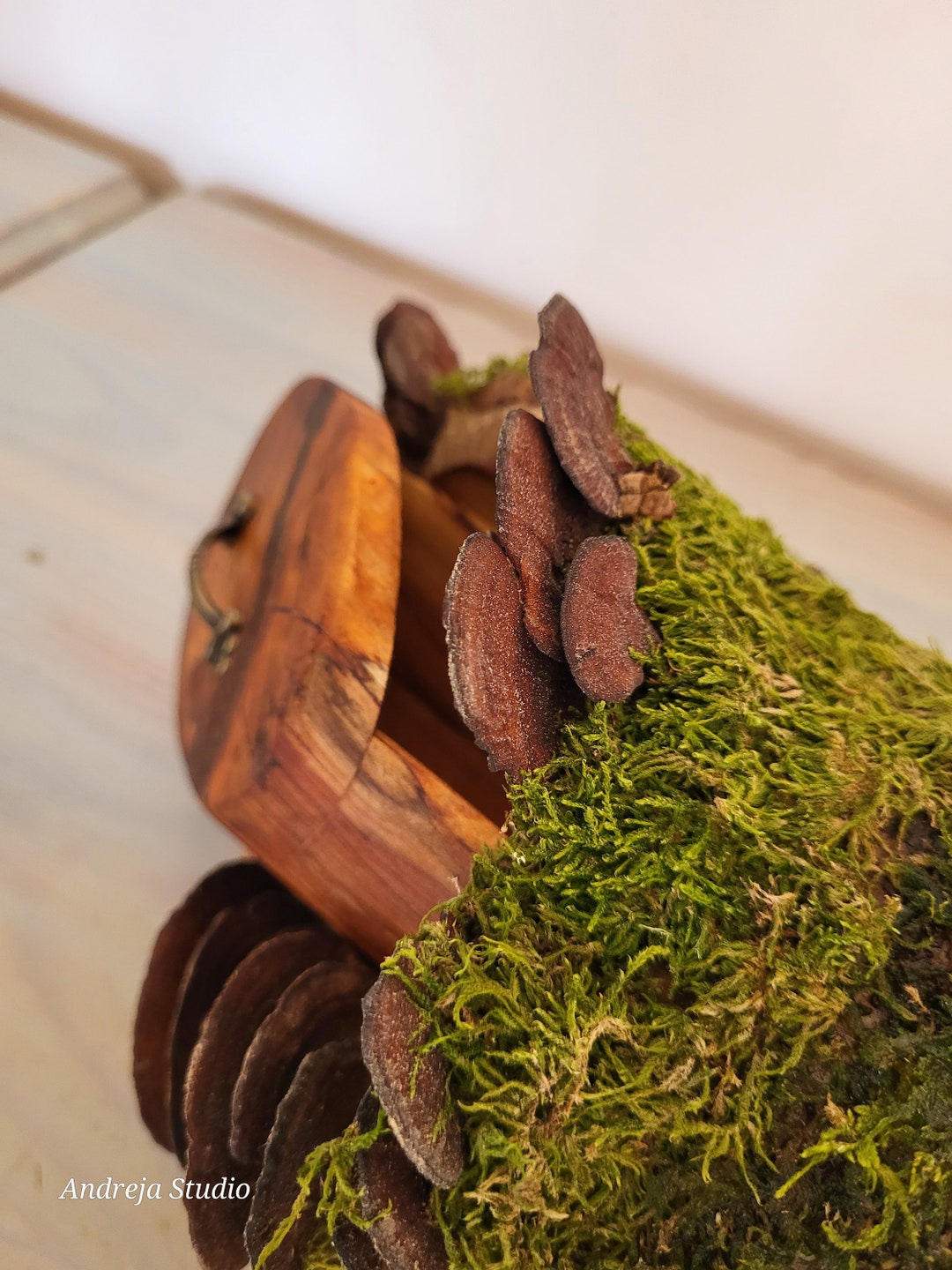 Rustic Firewood Log Jewellery Box With Bark, Moss and Fungus, Fairy ...