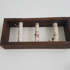 White Birch Wall Art, Birch Wall Display Shelf, Framed Birch Art, 3 ...