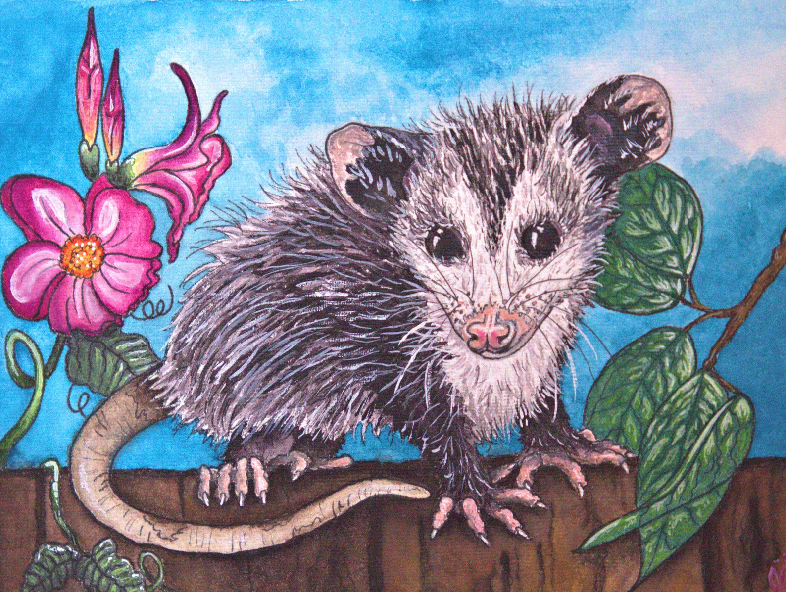 Possum Limited Art Print Unique Wall Decor for the Animal/nature Lover ...