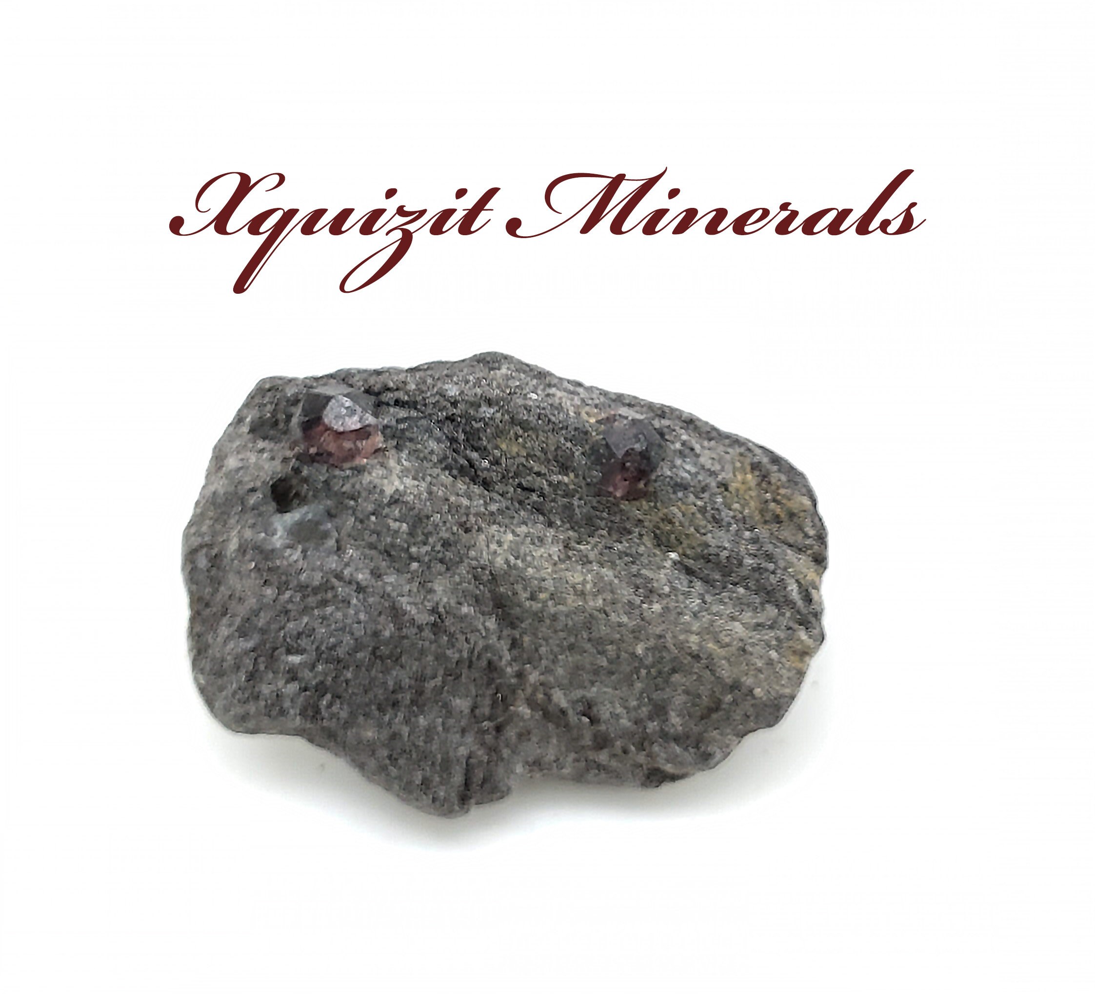 Almandine Garnet Schist Garnet Ledge Wrangell Alaska 8 - Etsy UK