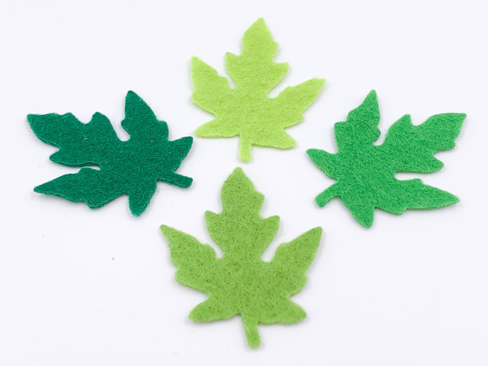 Hojas verdes de fieltro hojas de fieltro precortadas | Etsy