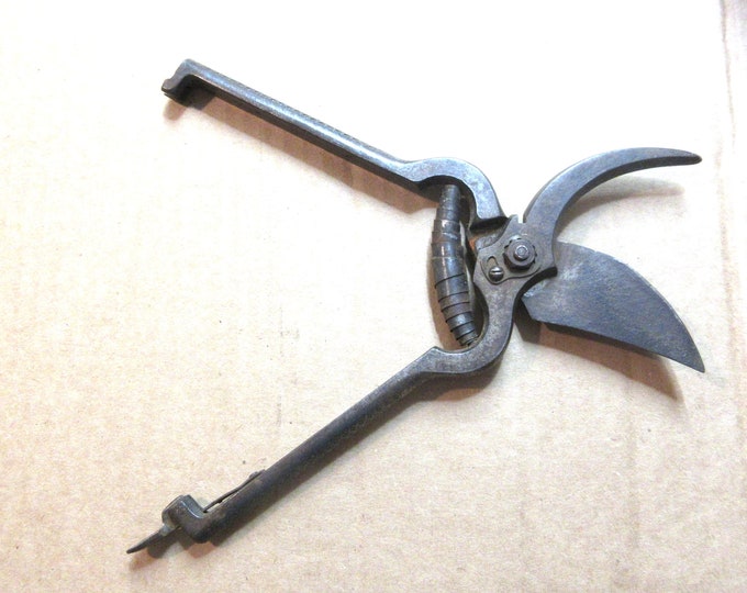 Vintage Bypass Pruners, Cutters Marked SW Drop Forged Italy. Spring ...